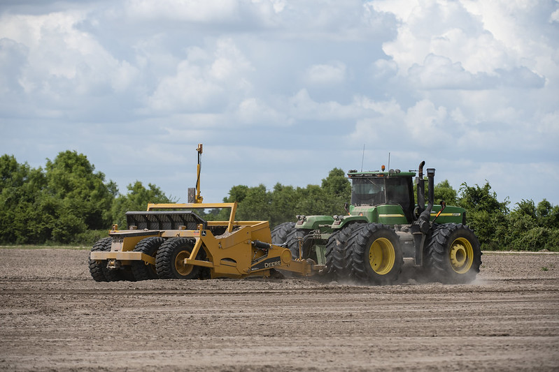 Texas family enlists conservation programs to aid rice farm, wildlife
