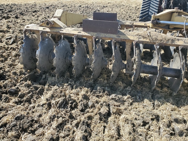 Managing rice straw when winter flood water is uncertain