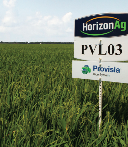 Horizon Ag Has Strong Variety Offering for 2022