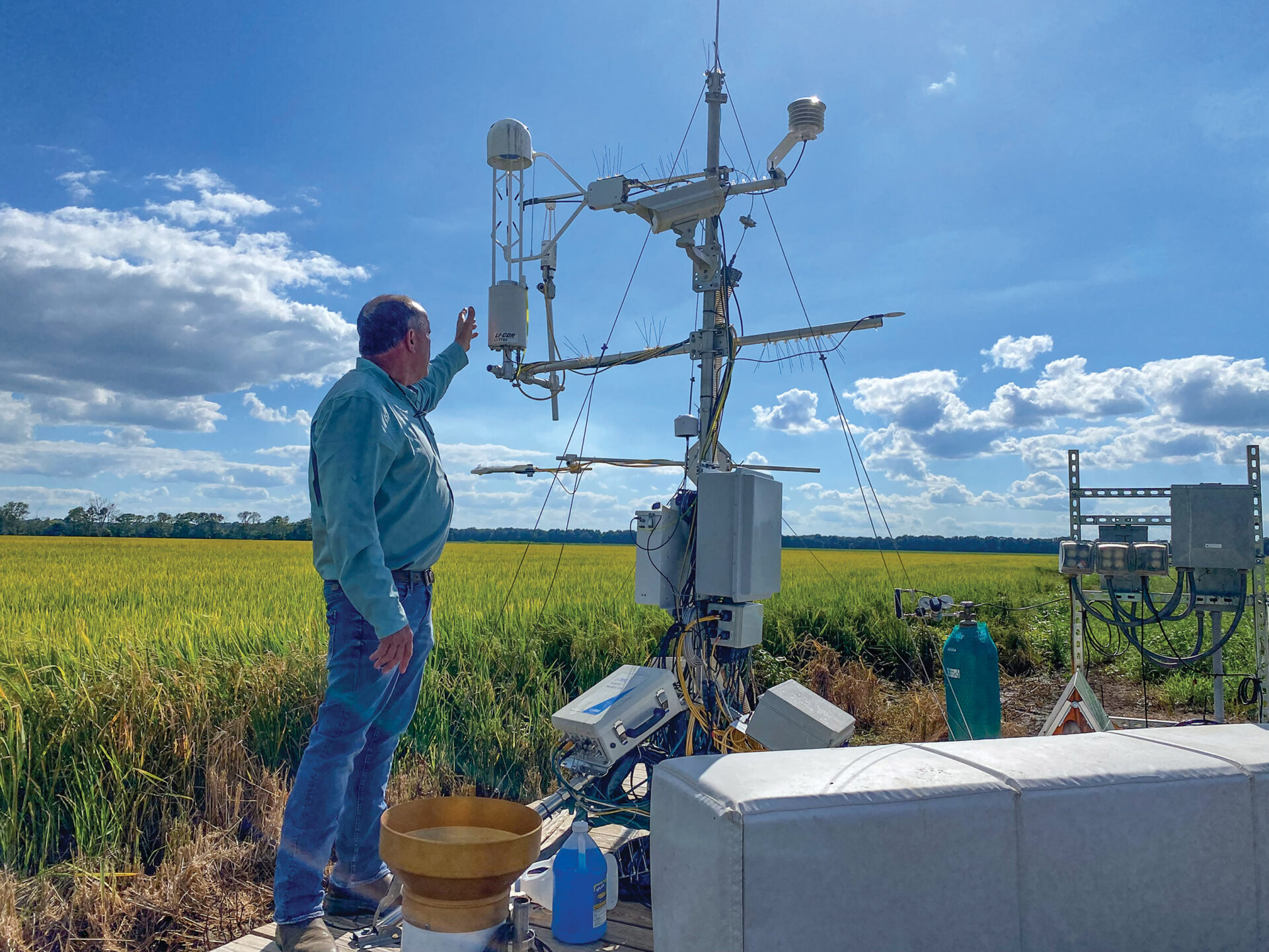 Sustainability at its Finest - Rice Farming