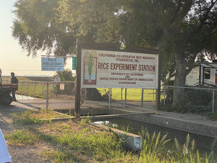 The California Rice Experiment Station - Rice Farming