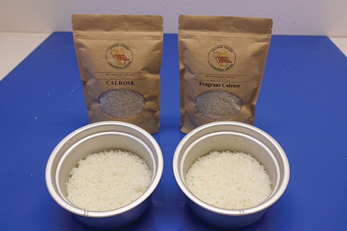 The California Rice Experiment Station - Rice Farming