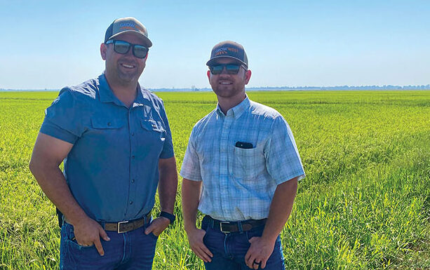 A California Legacy and Collaboration - Rice Farming