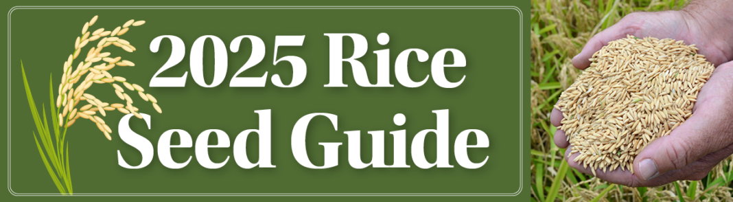 2025 Rice Seed Guide - Rice Farming