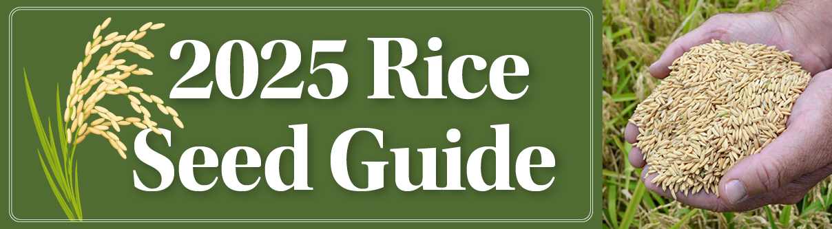 2024 Rice Seed Guide - Rice Farming